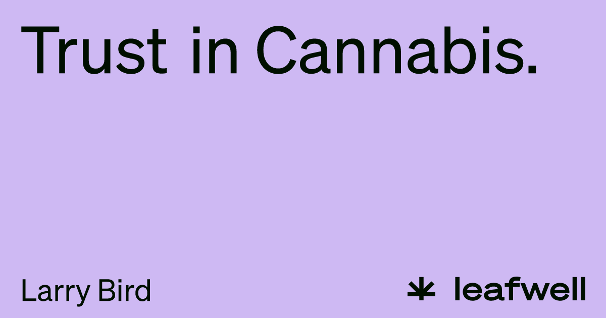 Larry Bird Marijuana Strain, AKA Gelato #33 - Leafwell